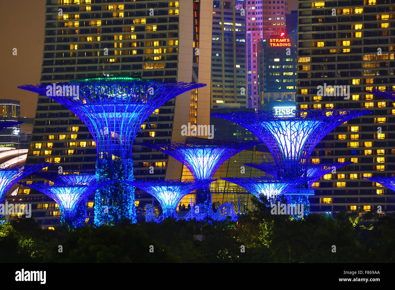 Night scene of the illuminated Supertrees in the Supertrees Grove in ...