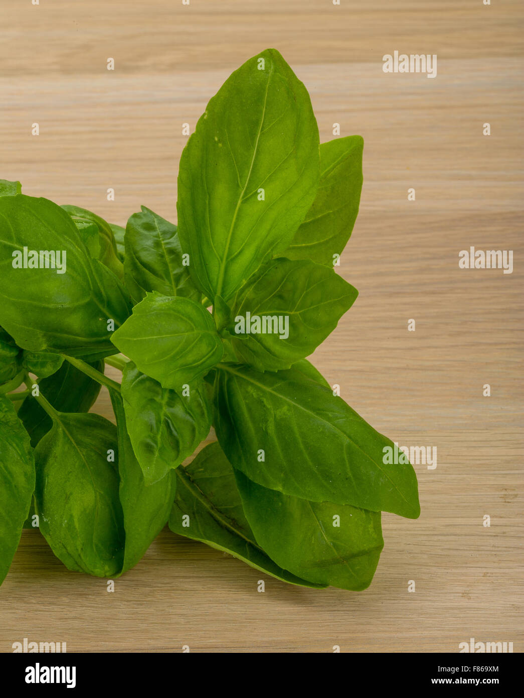 Basil leaves on the board Stock Photo - Alamy