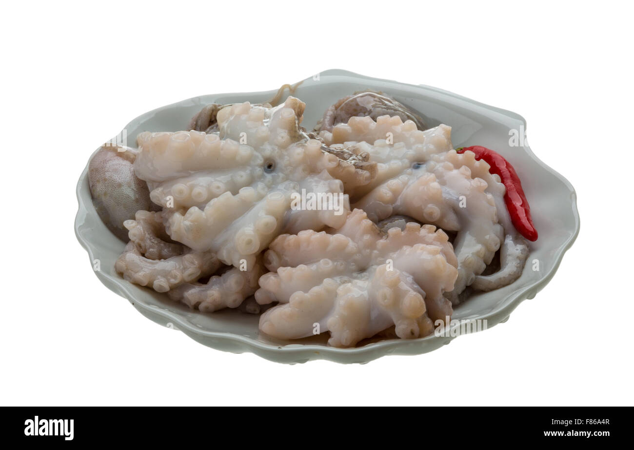 Raw fresh octopus isolated on white Stock Photo - Alamy