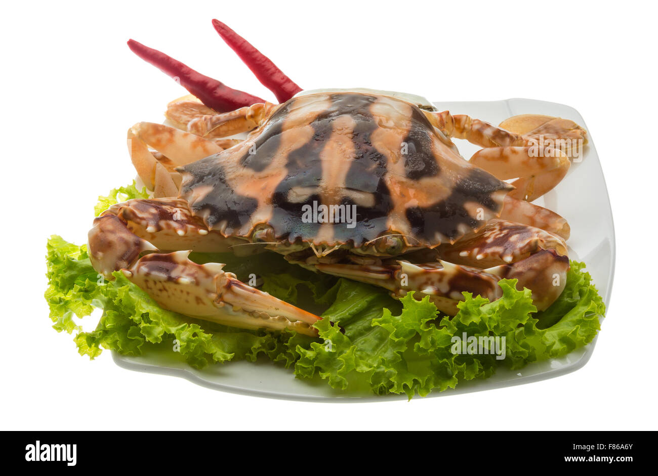 Red crab isolated on white Stock Photo - Alamy