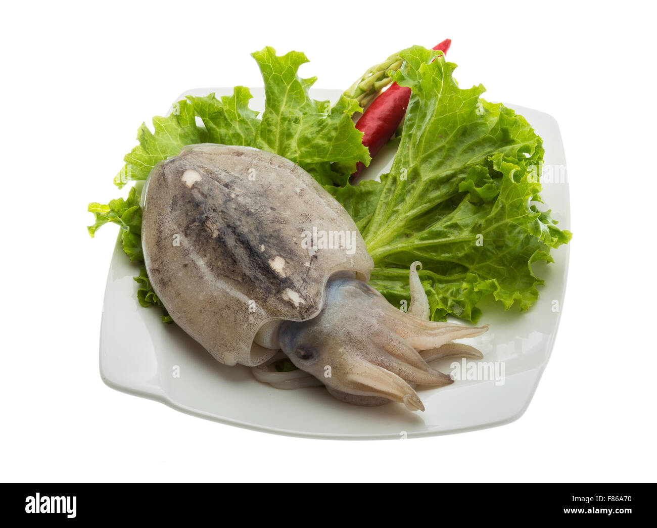 Raw cuttlefish ready for cooking Stock Photo - Alamy