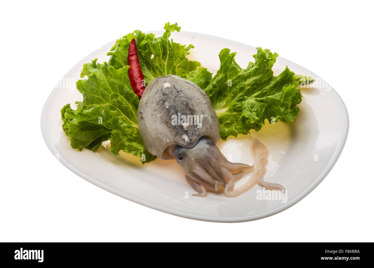 Raw cuttlefish ready for cooking Stock Photo - Alamy
