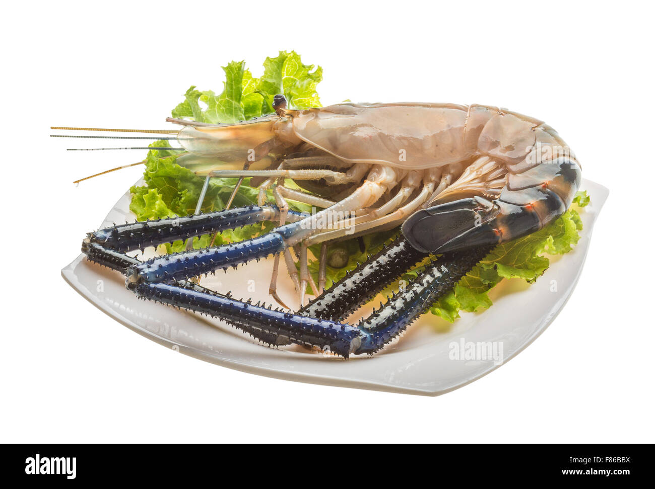 Big Freshwater prawn ready for cooking Stock Photo - Alamy
