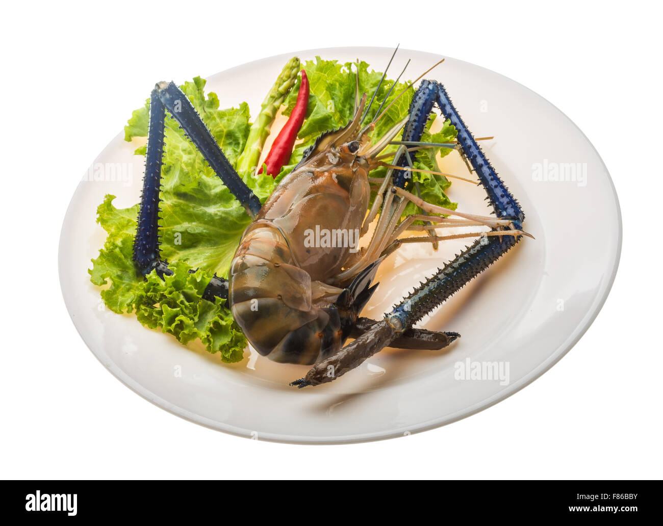 Big Freshwater prawn ready for cooking Stock Photo - Alamy