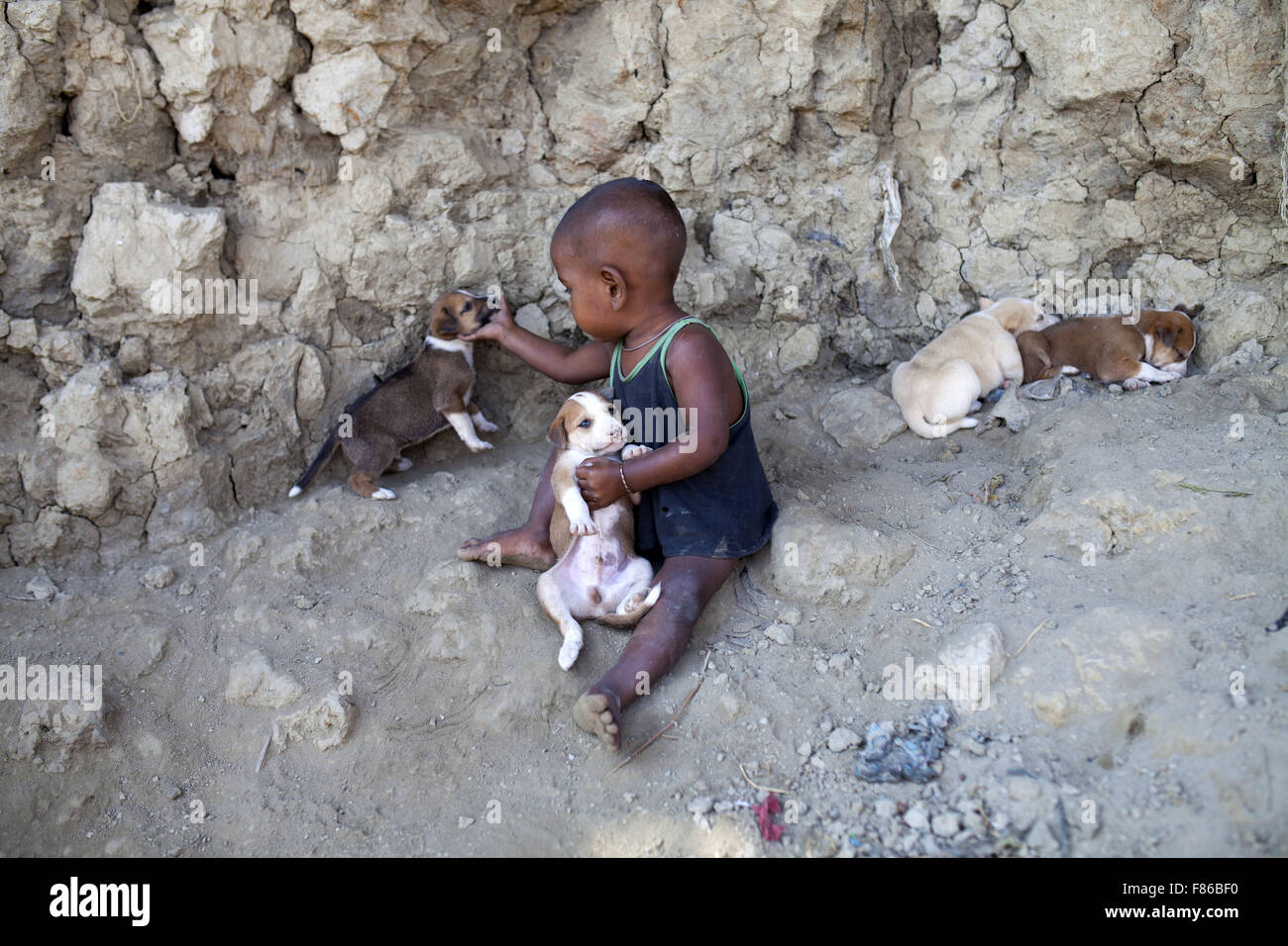 Bangladeshi street dogs hi-res stock photography and images - Alamy