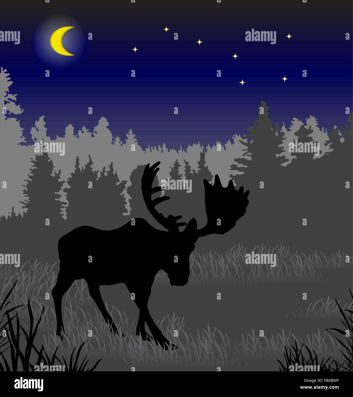 Elk in the night forest Stock Vector Image & Art - Alamy