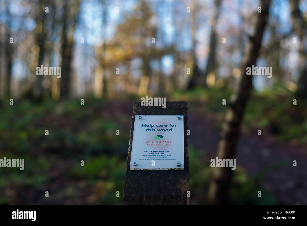 Help care for our wood Stock Photo - Alamy