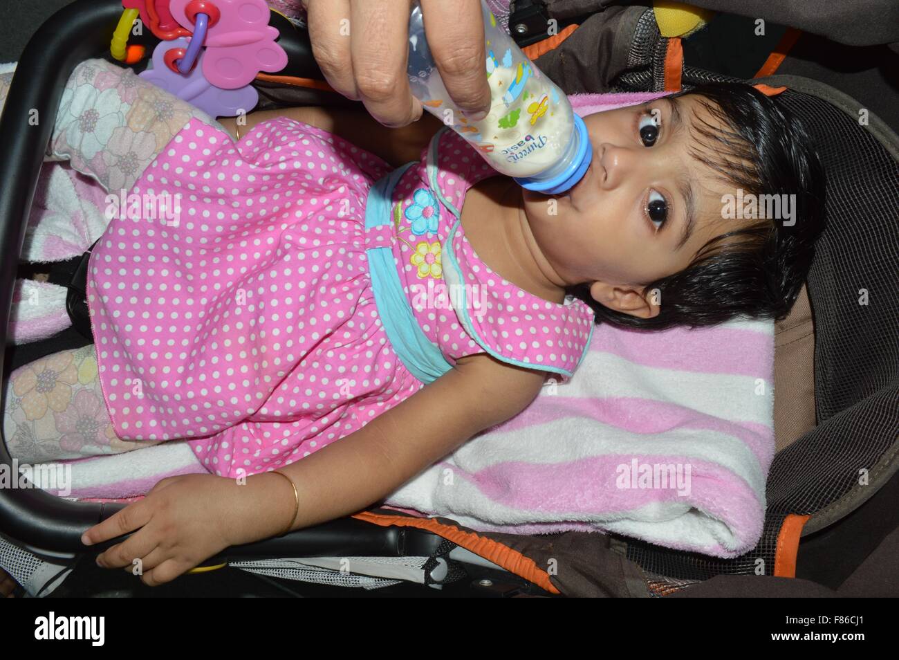 Feeding nurturing hi-res stock photography and images - Alamy