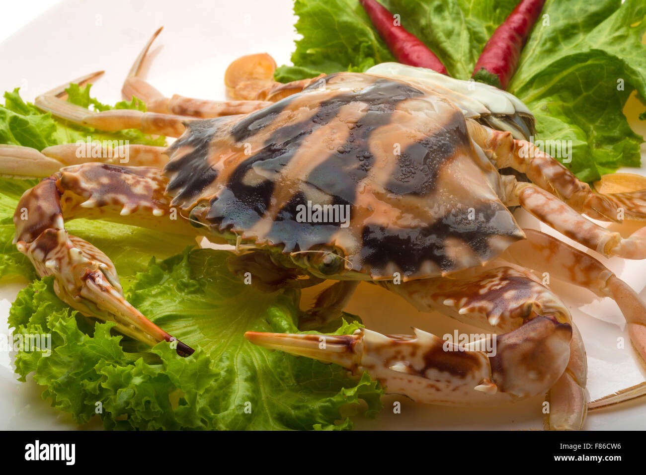 Red crab isolated on white Stock Photo - Alamy
