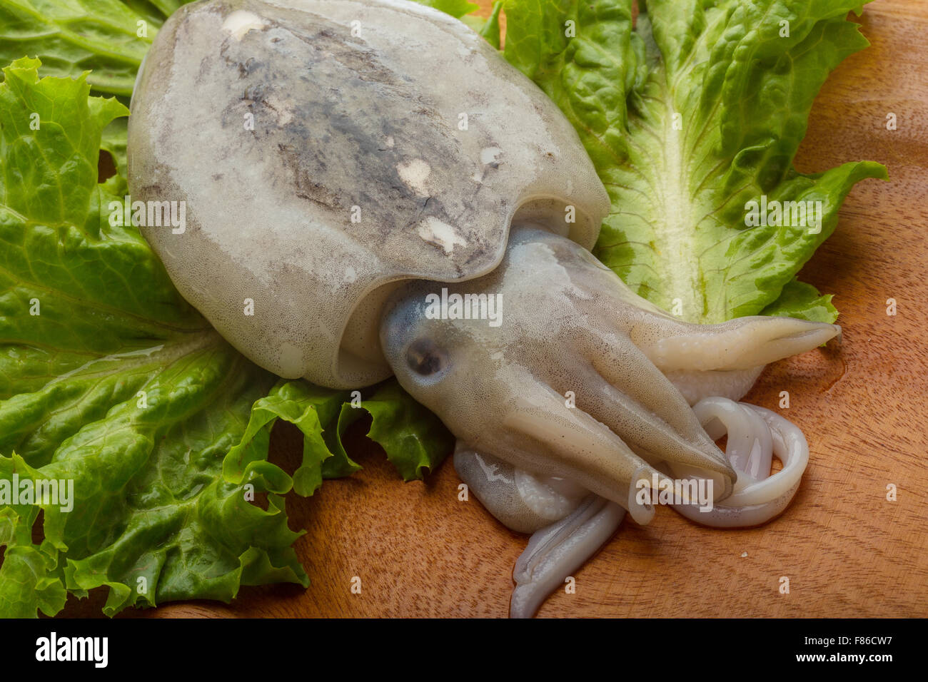 Raw cuttlefish ready for cooking Stock Photo - Alamy