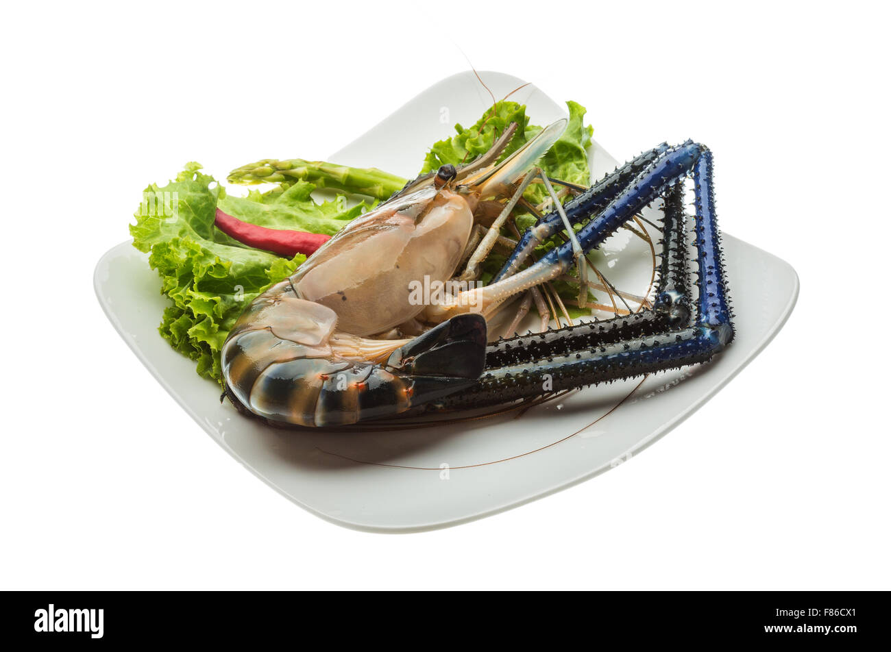 Big Freshwater prawn ready for cooking Stock Photo - Alamy