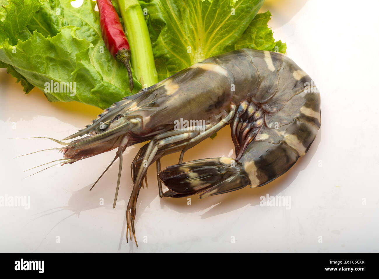 Raw Tiger prawn ready for cooking Stock Photo - Alamy