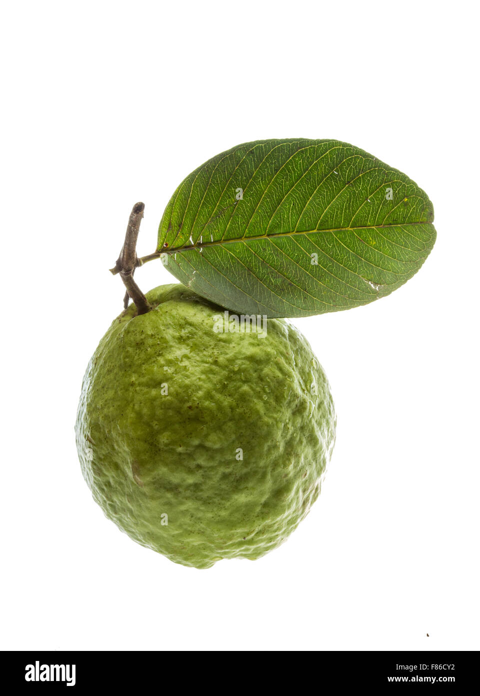 Fresh ripe green guava isolated Stock Photo - Alamy