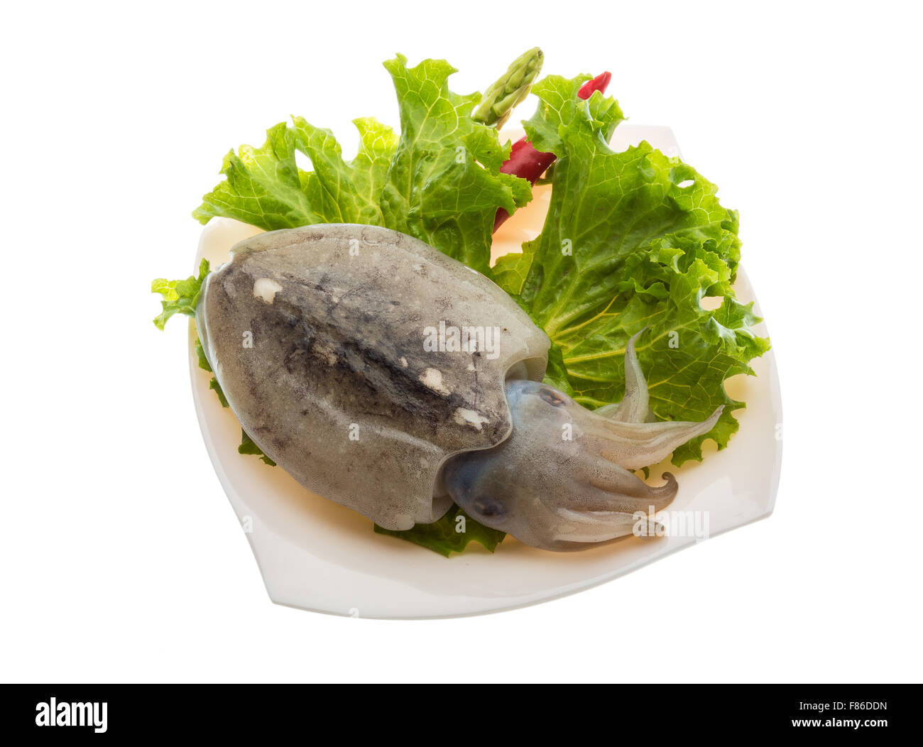 Raw cuttlefish ready for cooking Stock Photo - Alamy
