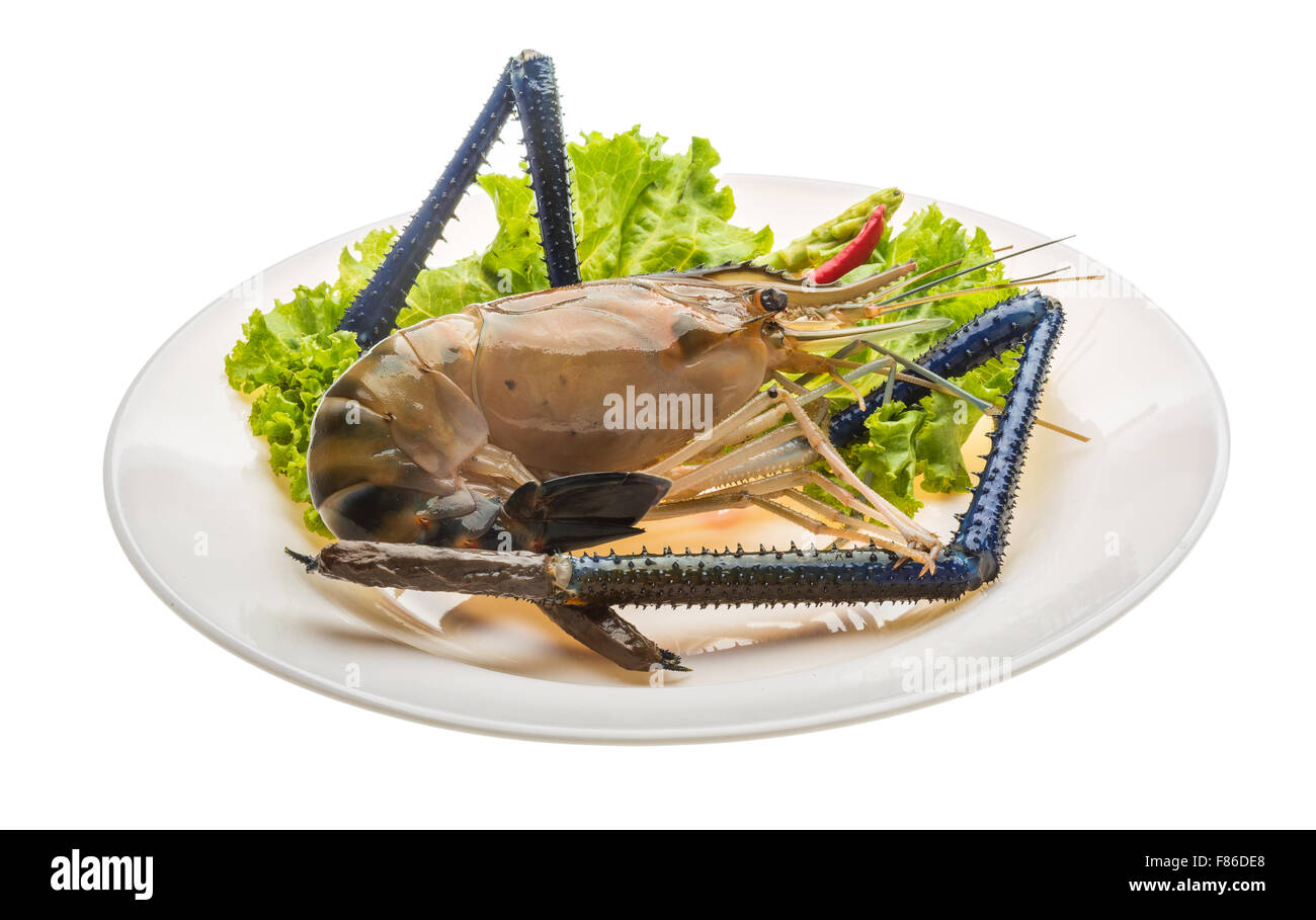 Big Freshwater prawn ready for cooking Stock Photo - Alamy
