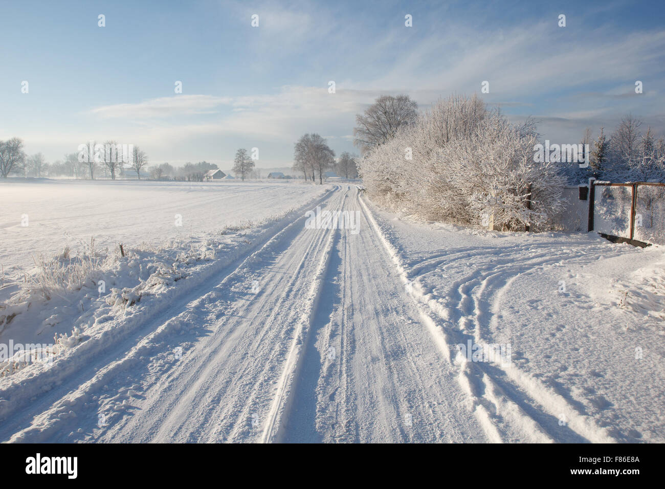 Snowy winter lane with tree hi-res stock photography and images - Alamy