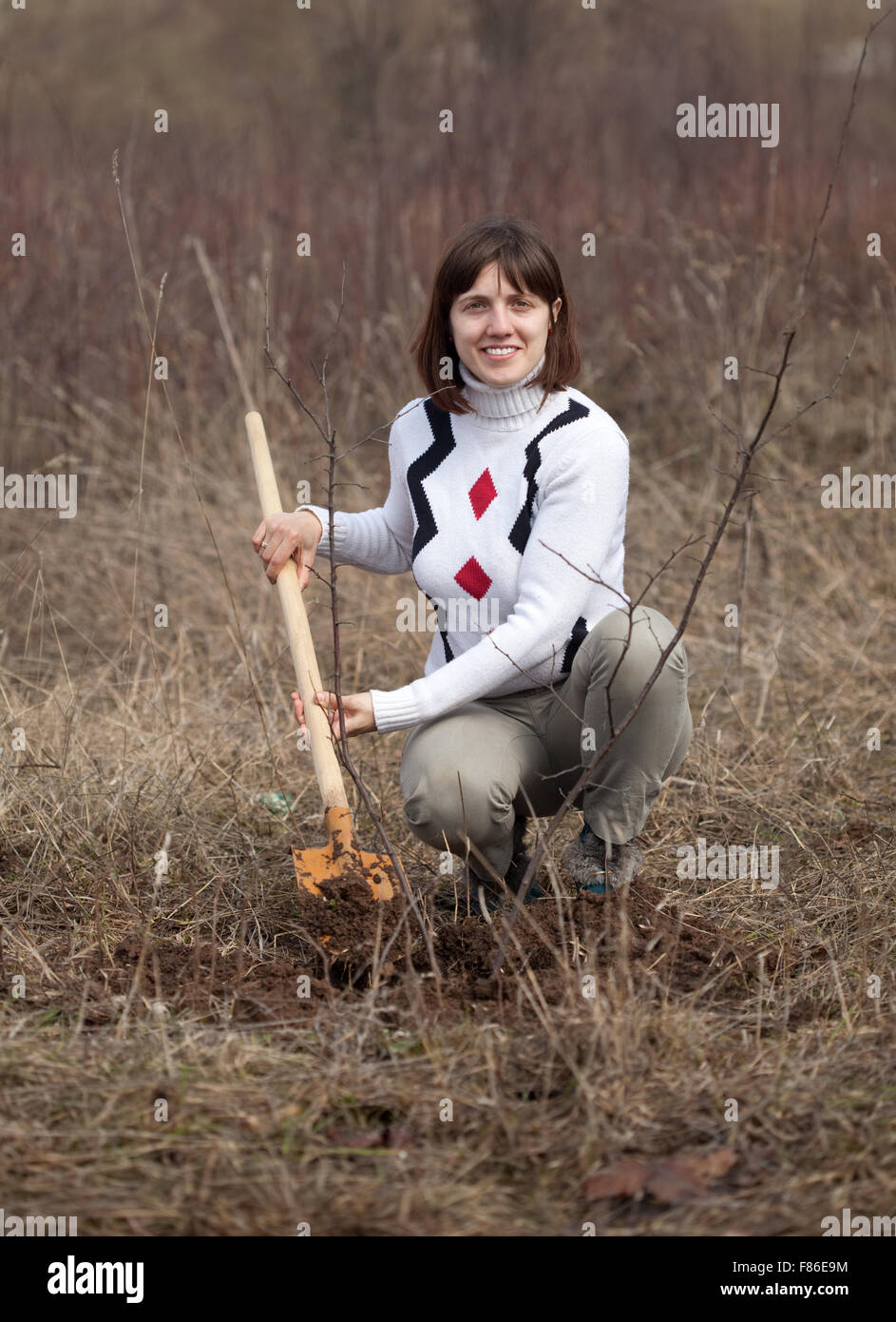 Female gardener planting tree outdoor in spring Stock Photo - Alamy