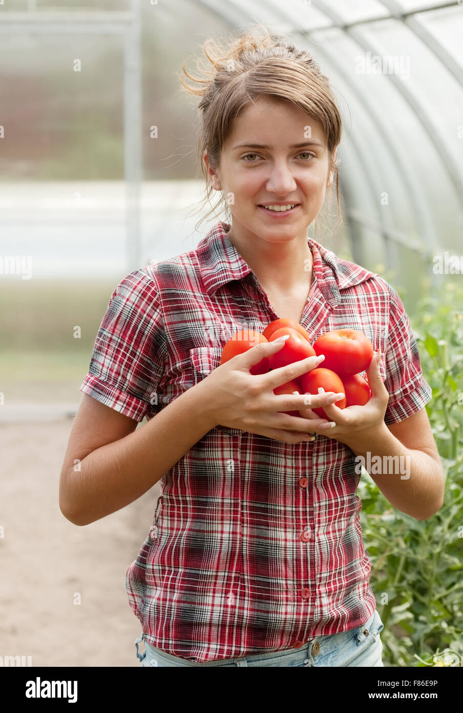 Teenager girl with harvested tomato in greenhouse Stock Photo - Alamy