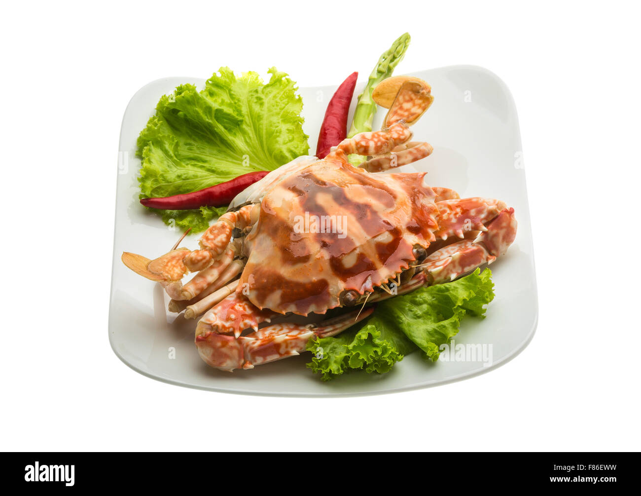 Red crab isolated on white Stock Photo - Alamy