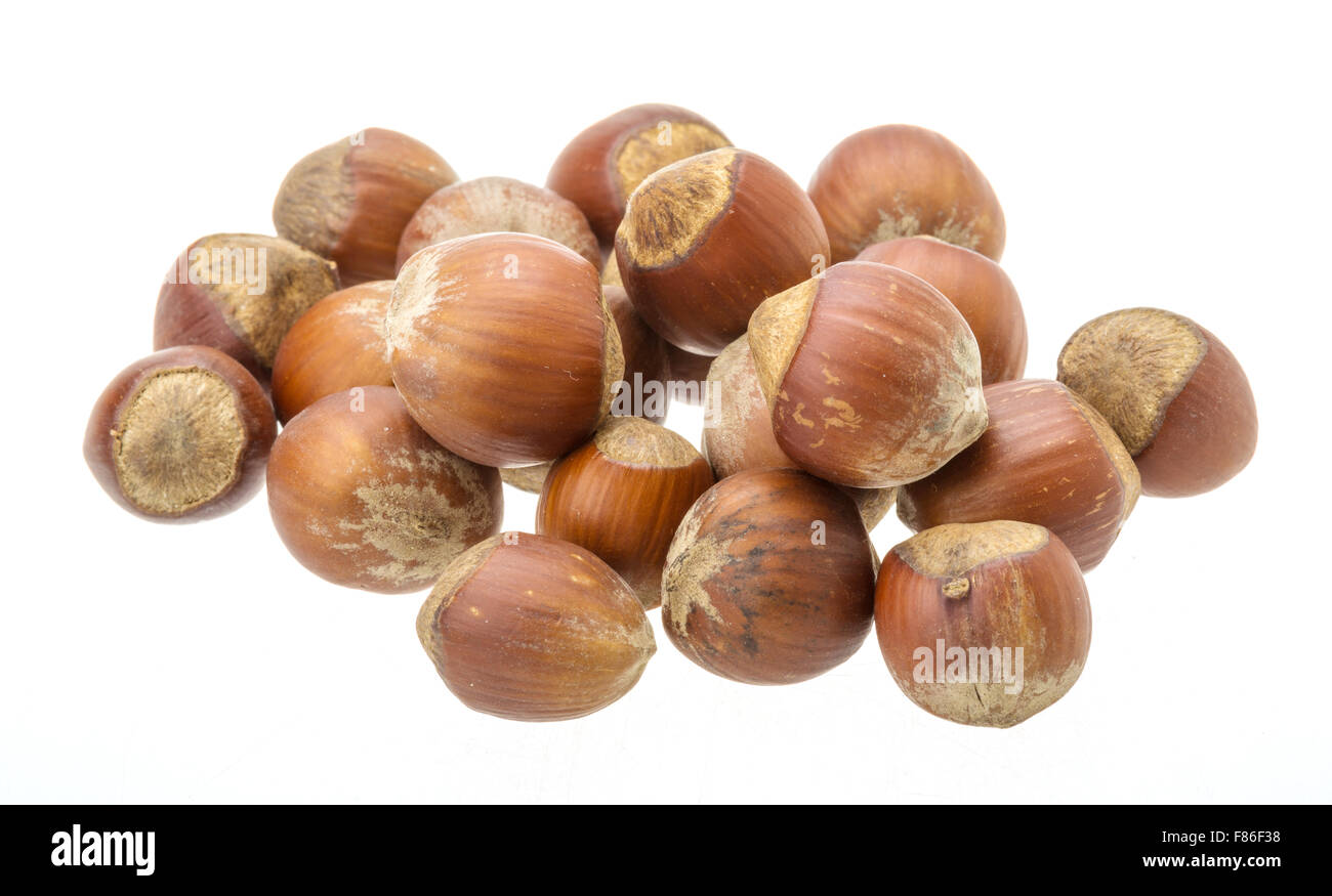 Hazelnut heap isolated on white background Stock Photo - Alamy