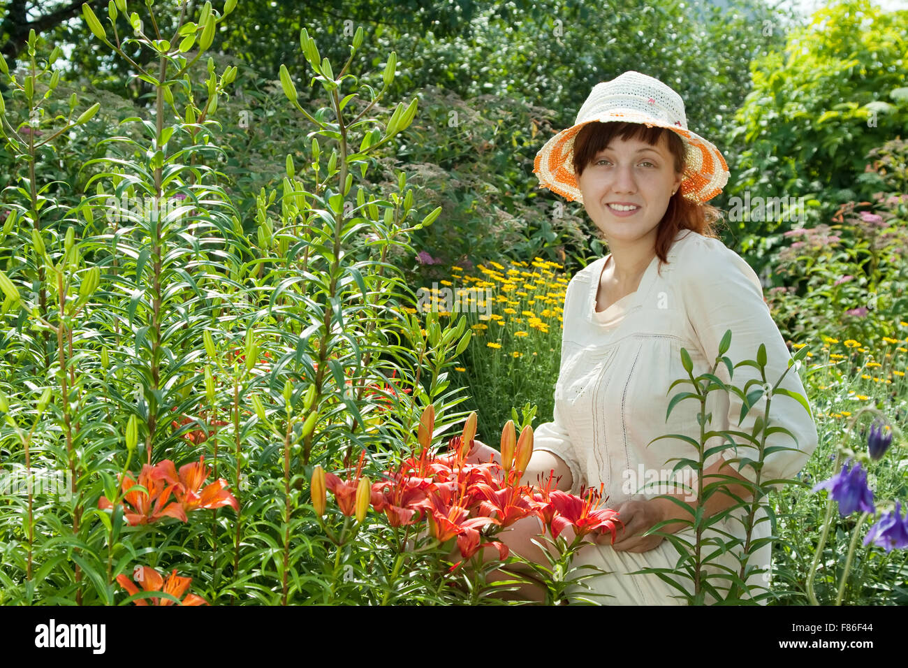 Female gardener in lily plant at garden Stock Photo - Alamy