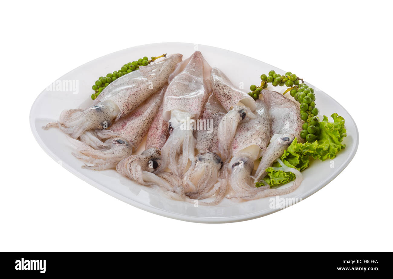 Raw calamari isolated on white background Stock Photo - Alamy