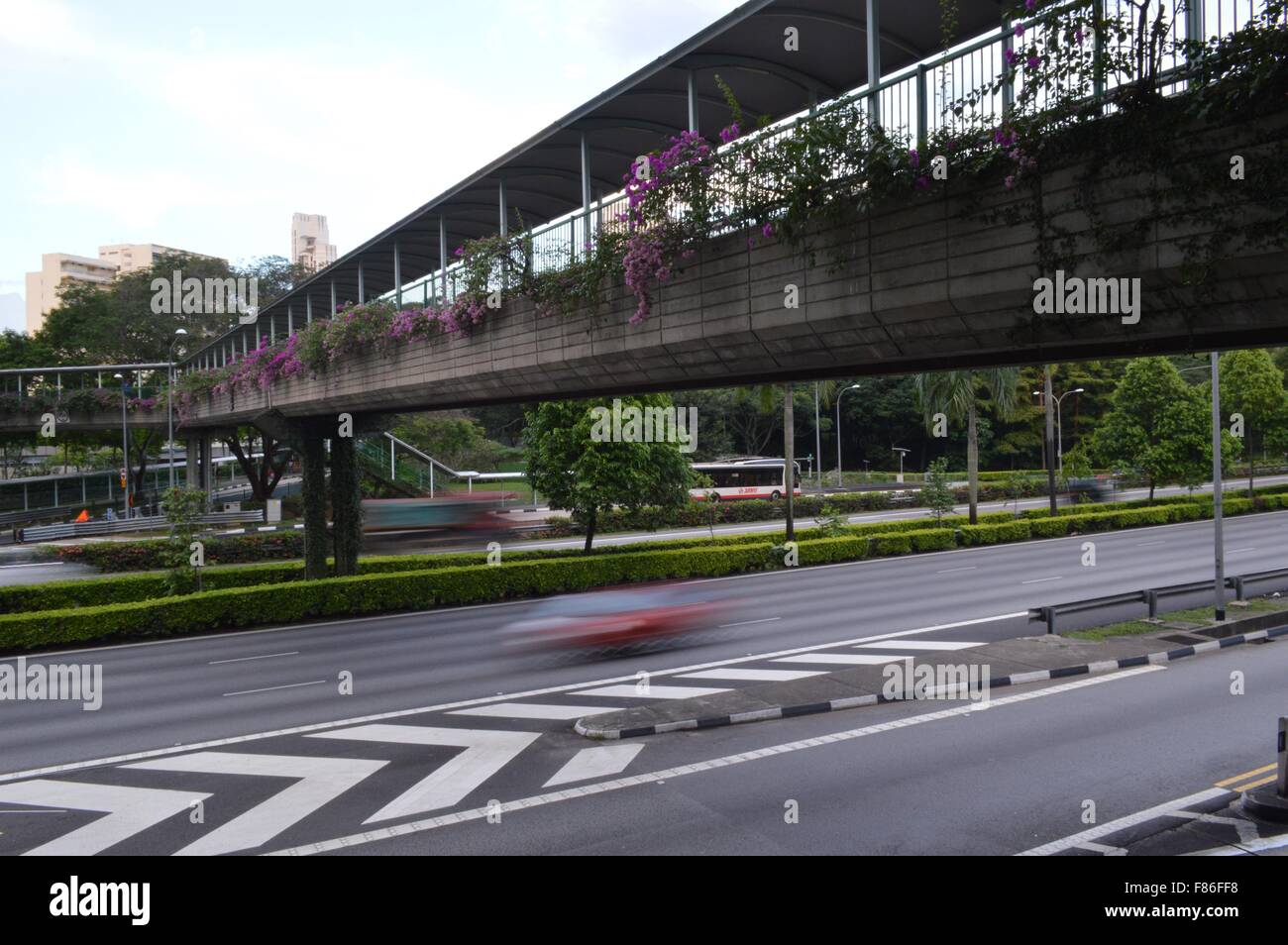 Singapore cross over-bridge with flower covered Stock Photo - Alamy
