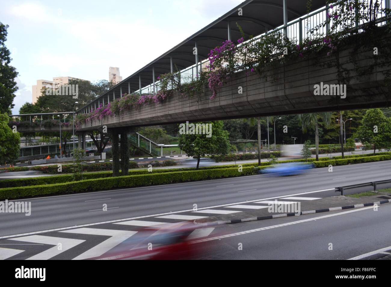 Singapore cross over-bridge with flower covered Stock Photo - Alamy