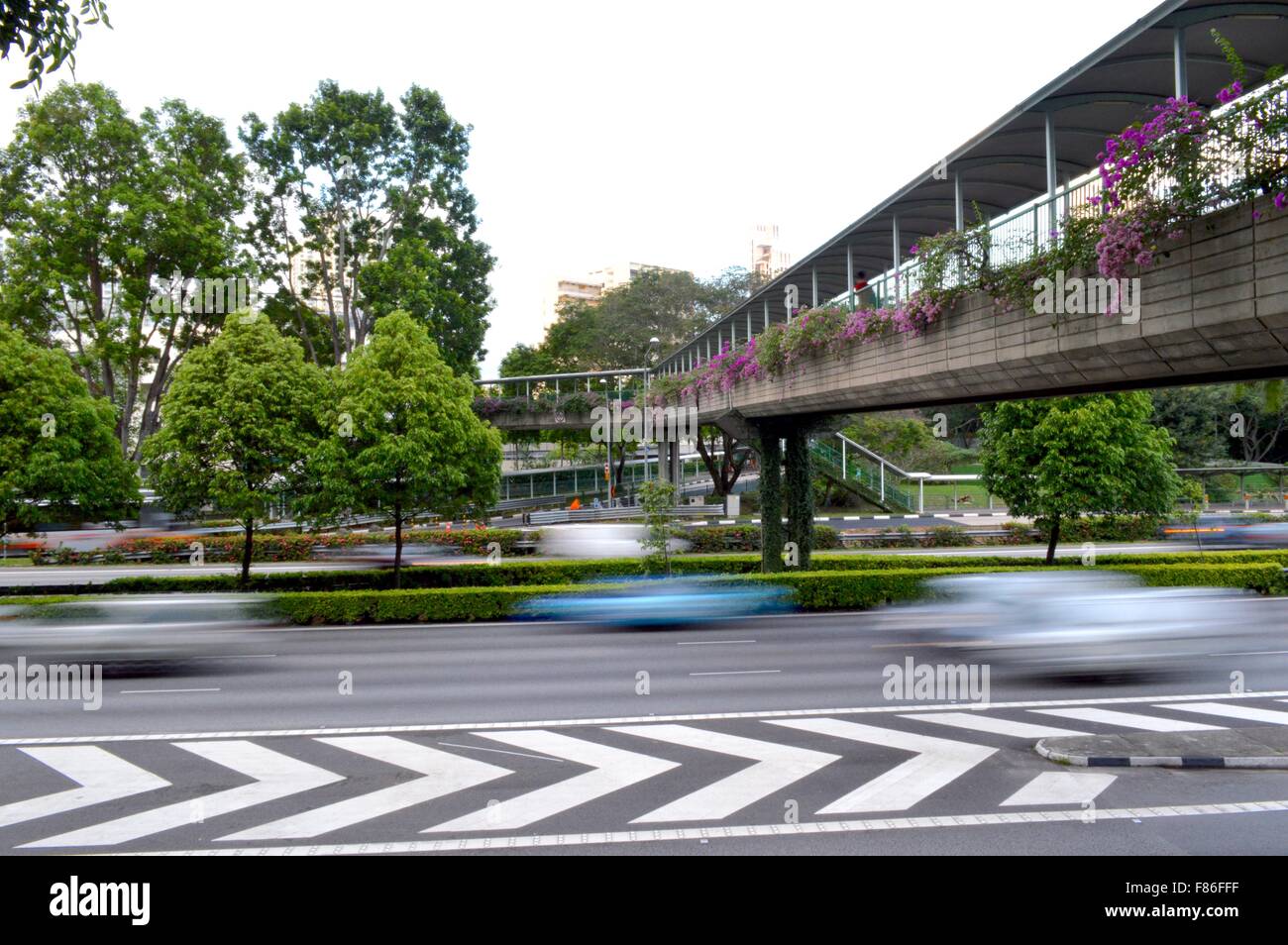 Singapore cross over bridge flower covered hi-res stock photography and ...