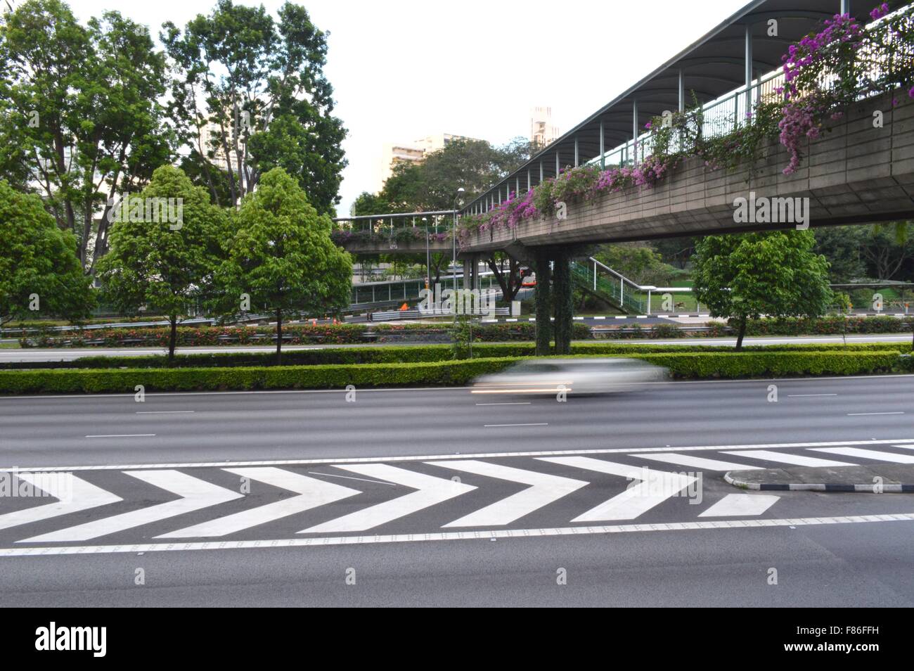 Singapore cross over-bridge with flower covered Stock Photo - Alamy