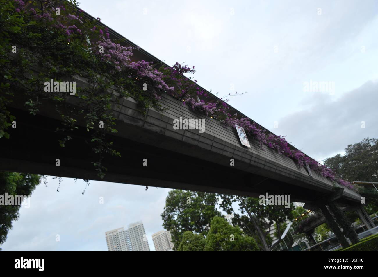 Cross over bridge hi-res stock photography and images - Alamy