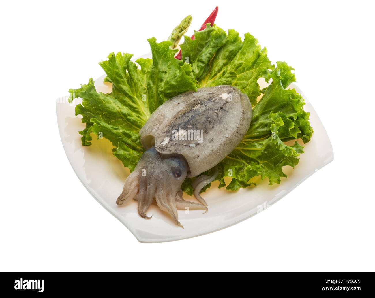 Raw cuttlefish ready for cooking Stock Photo - Alamy