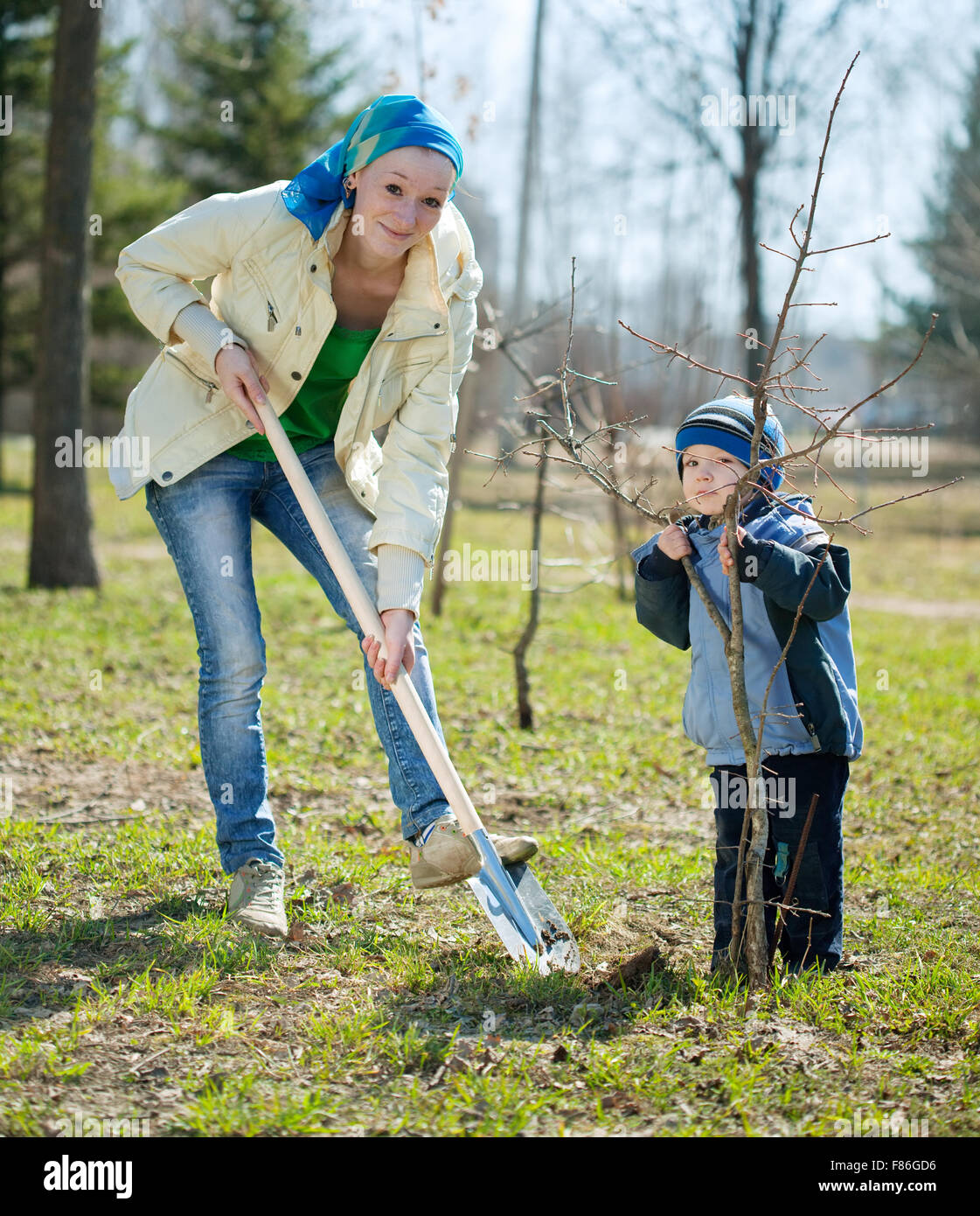mother and son with spade outdoors planting tree Stock Photo - Alamy