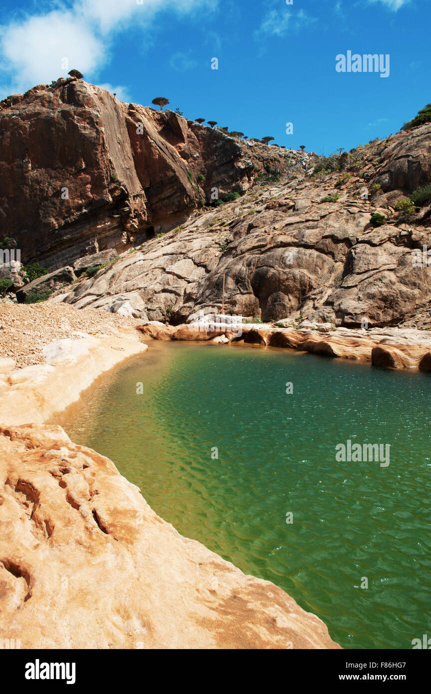 Socotra hi-res stock photography and images - Alamy