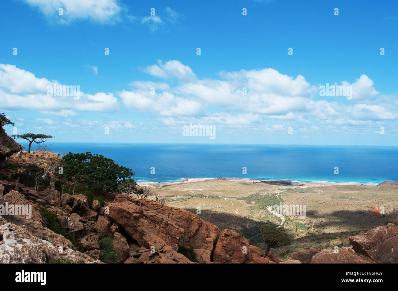 Island of Socotra, overview from Homhil Plateau: Dragon Blood trees and ...