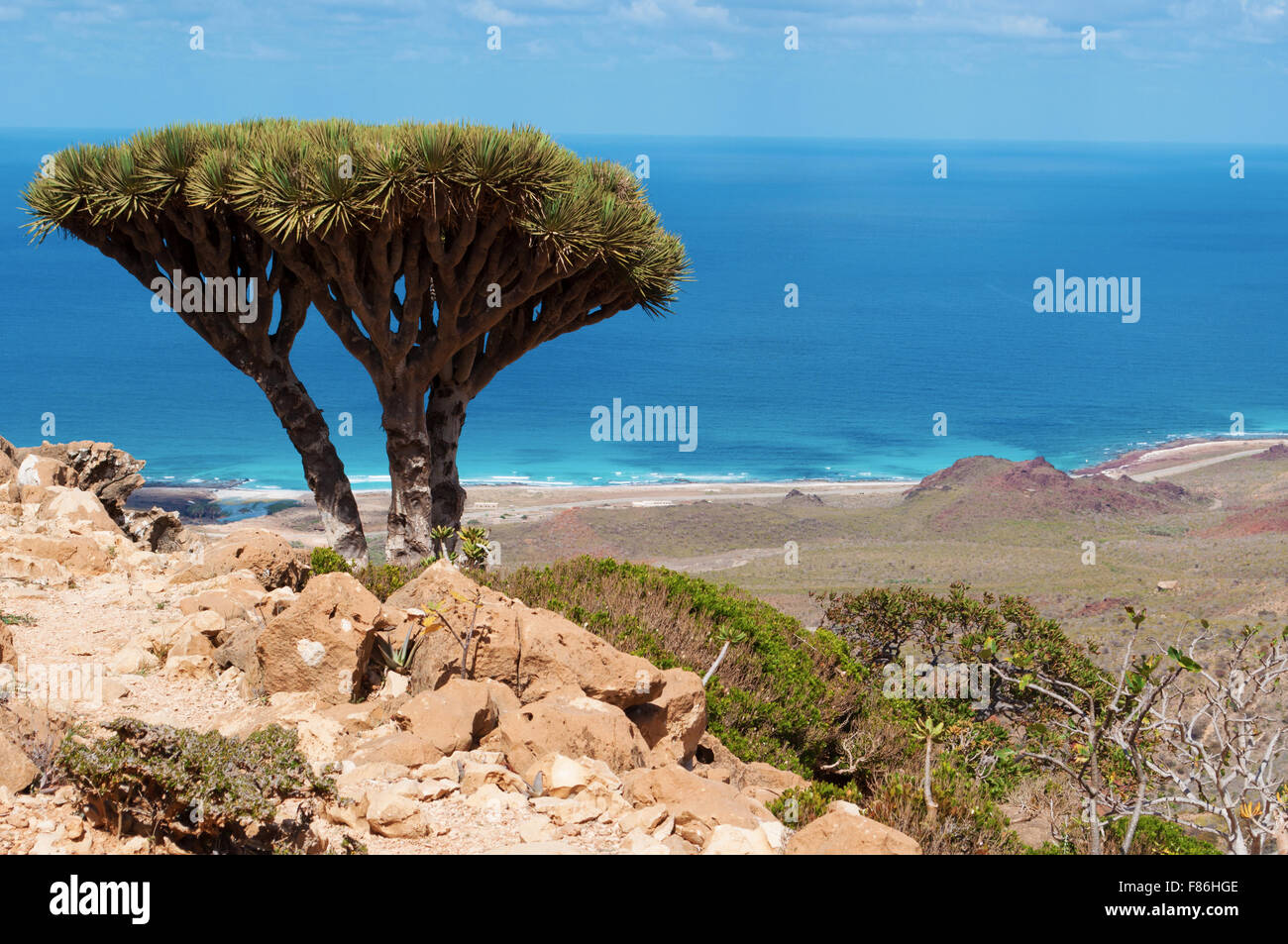 Island of Socotra, Yemen, overview from Homhil Plateau: the Dragon ...