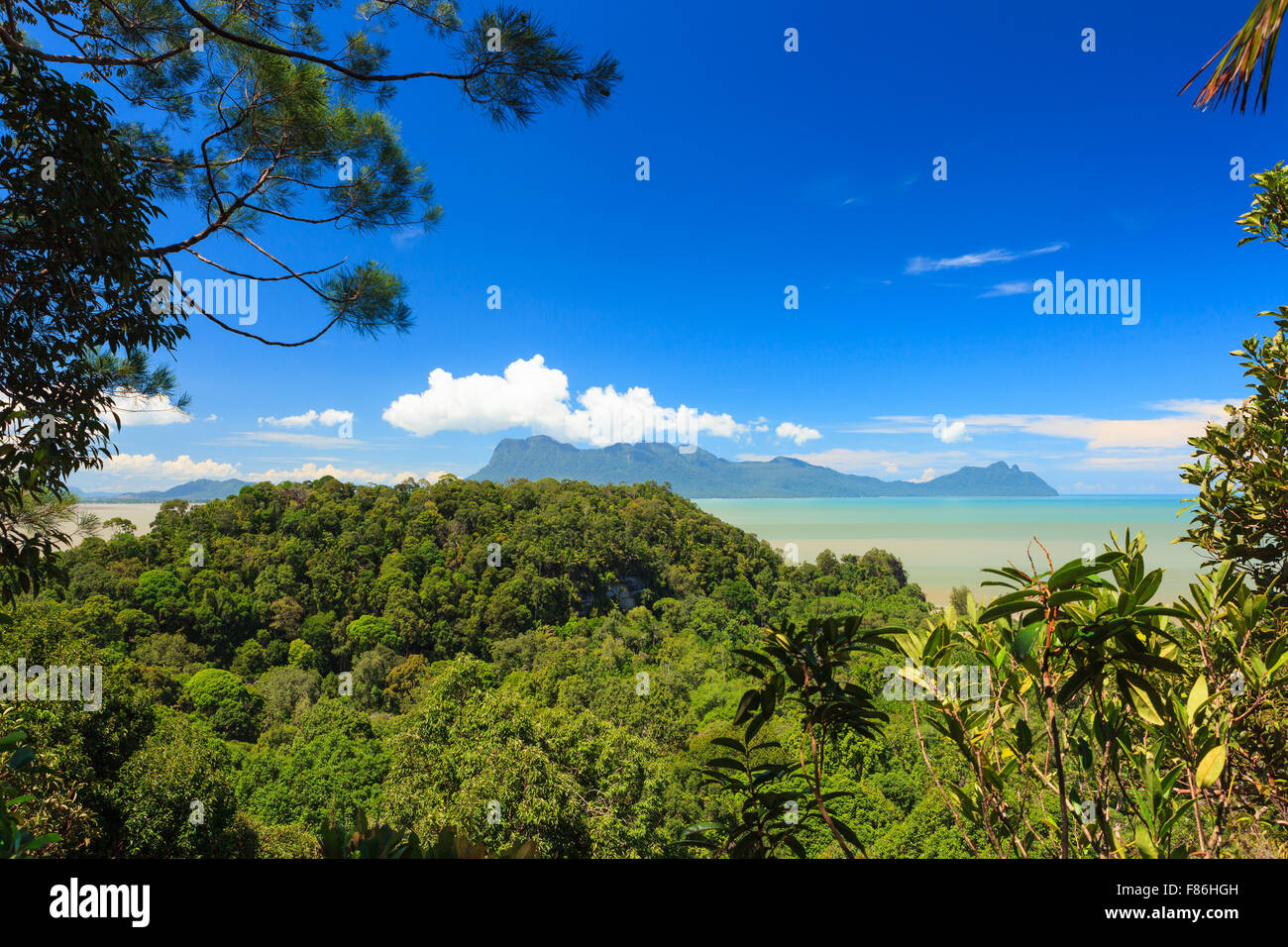 Jungle terrain hi-res stock photography and images - Alamy