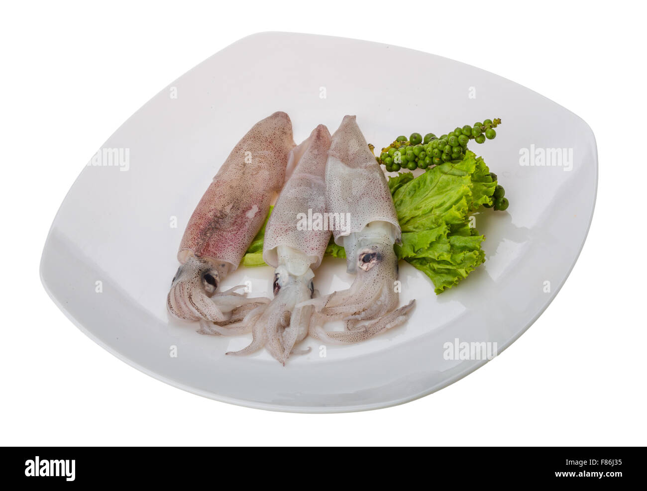 Raw calamari isolated on white background Stock Photo - Alamy