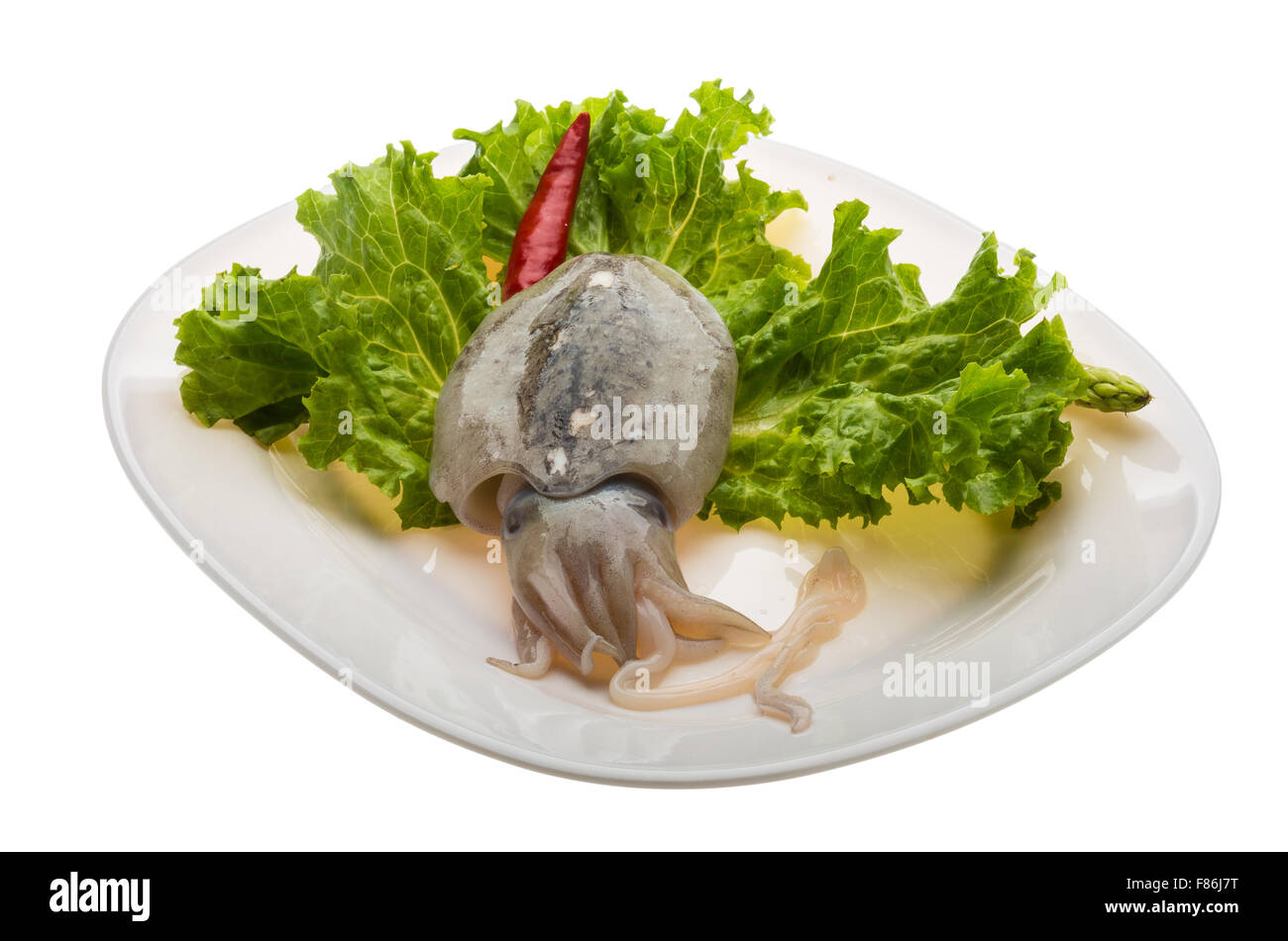Raw cuttlefish ready for cooking Stock Photo - Alamy