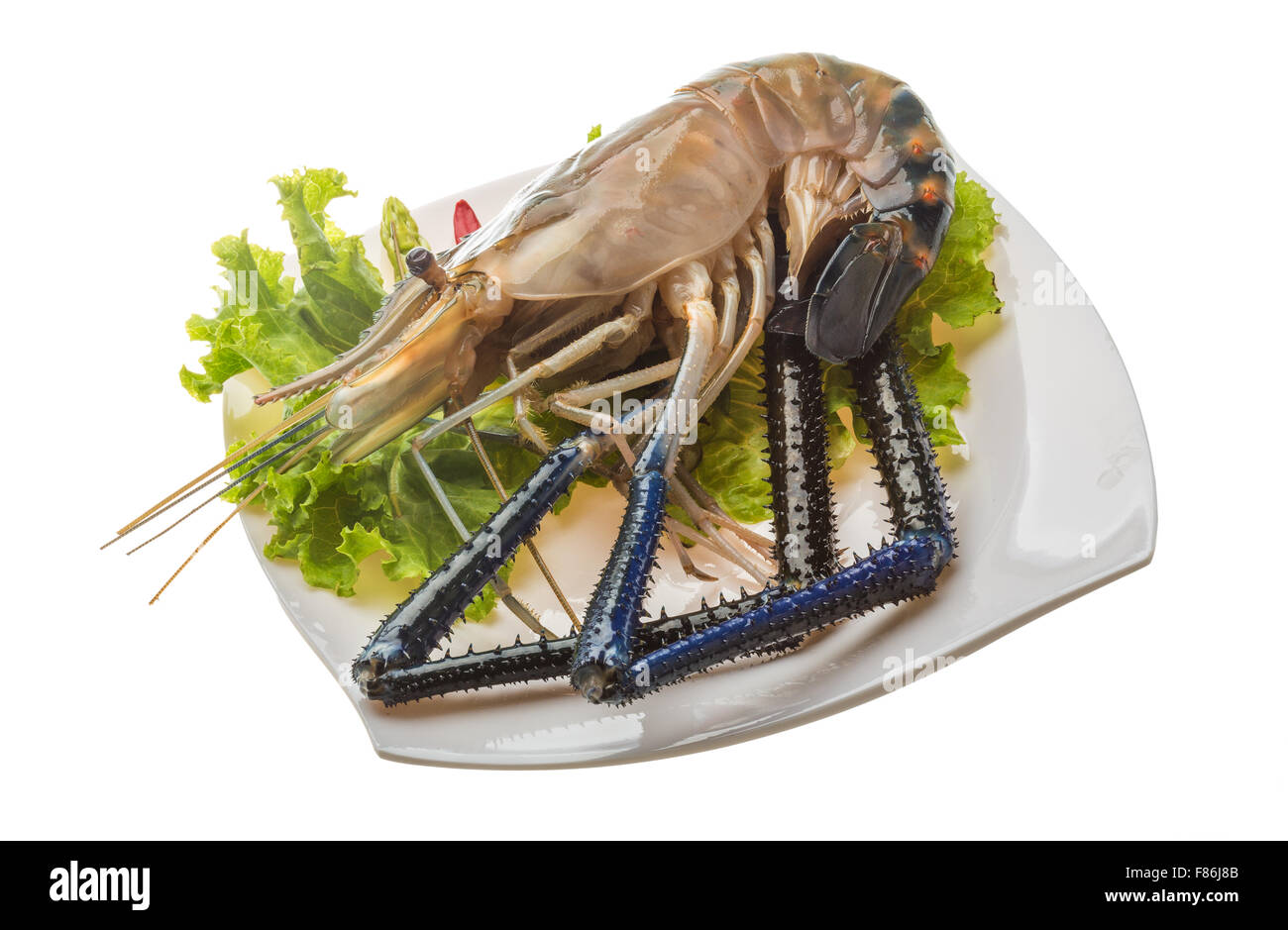 Big Freshwater prawn ready for cooking Stock Photo - Alamy