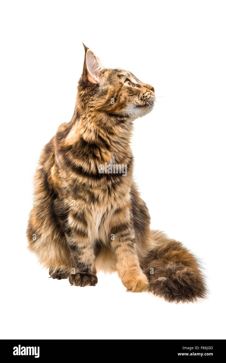 Young High Resolution Stock Photography and Images - Alamy