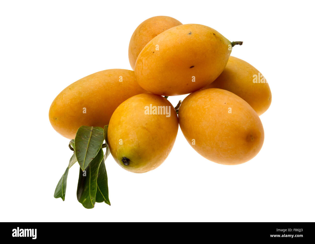 Bouea macrophylla heap isolated on white Stock Photo - Alamy