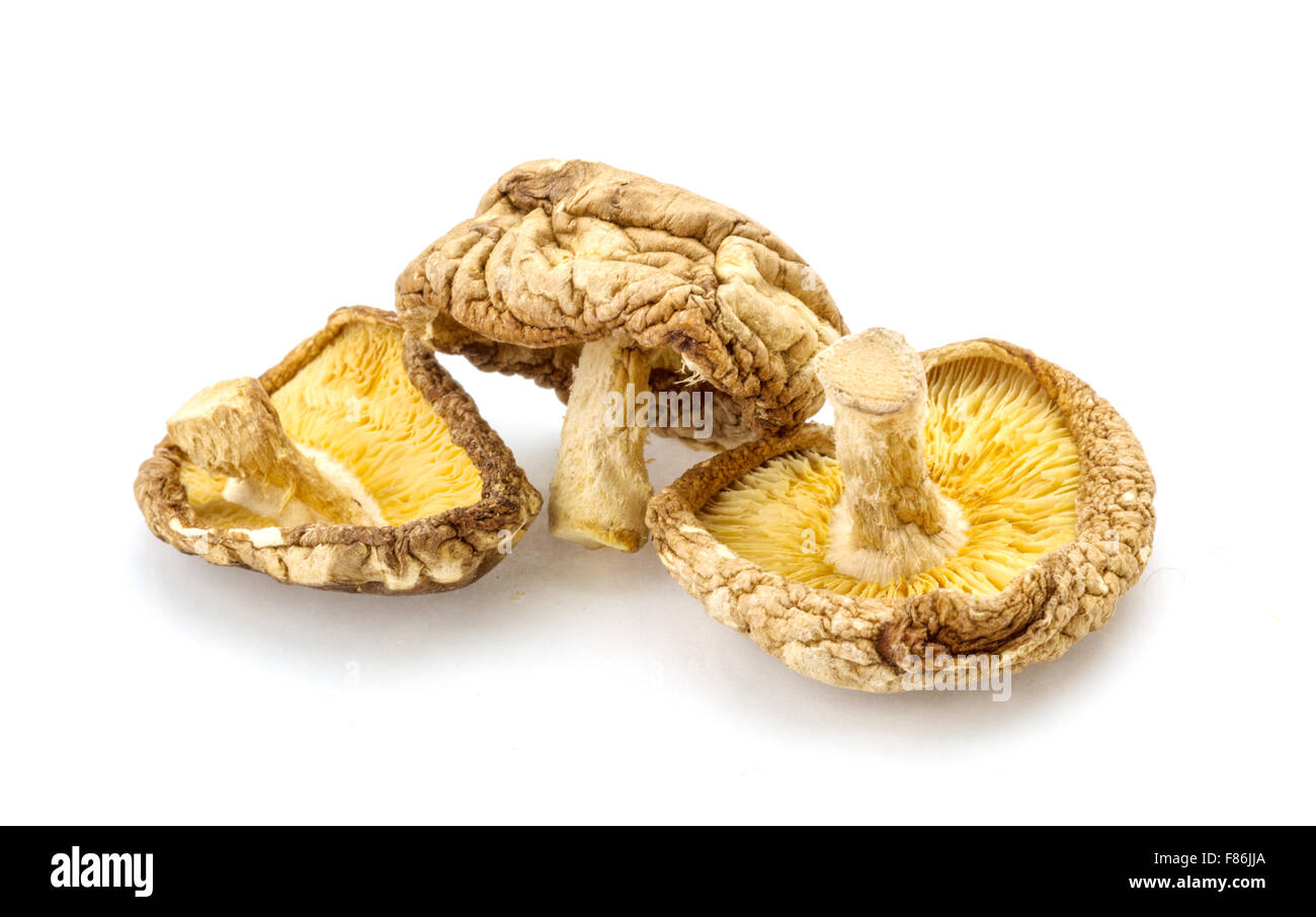 Dry asian mushroom heap isolated Stock Photo - Alamy