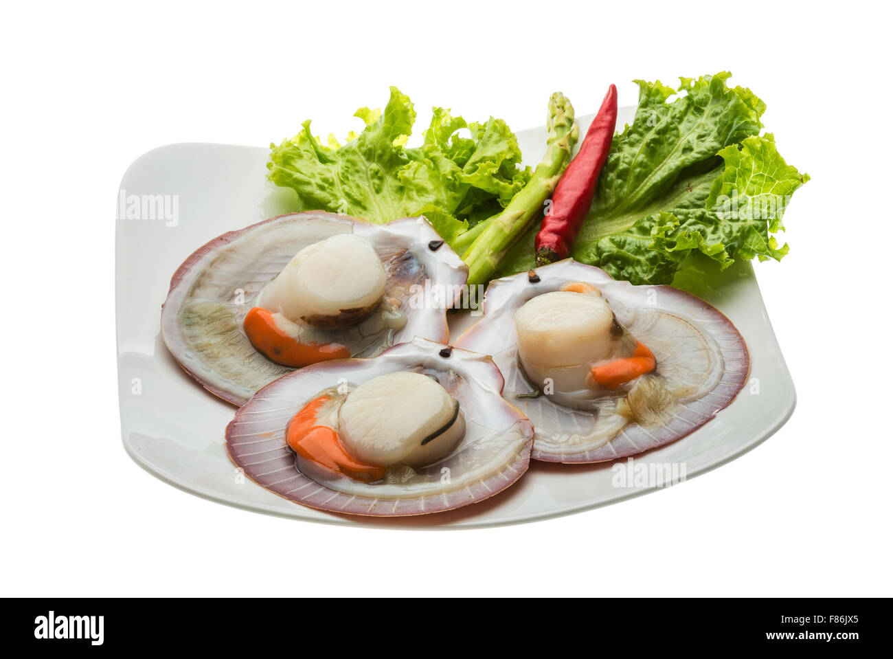 Raw fresh scallop ready for cooking Stock Photo - Alamy