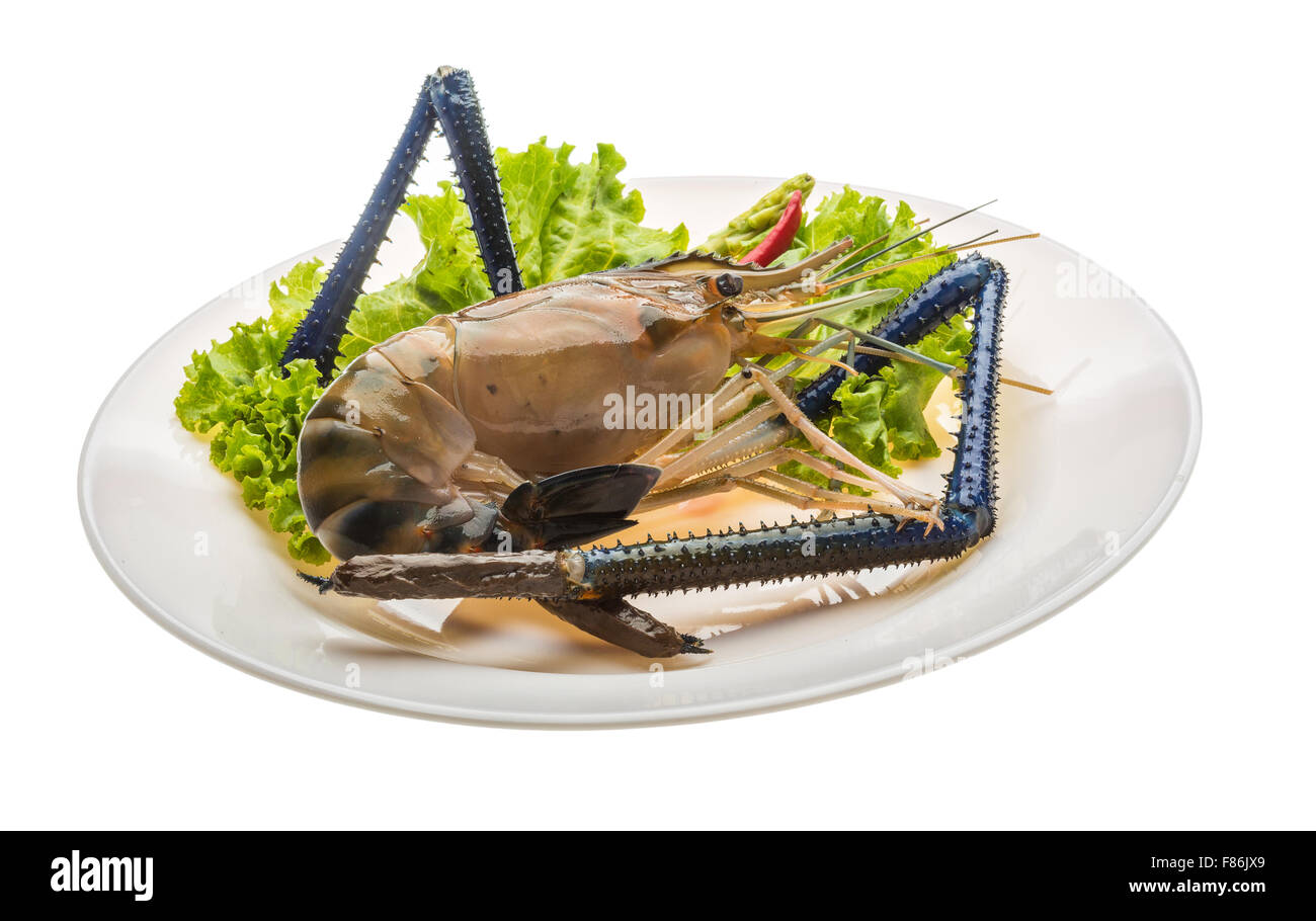 Big Freshwater prawn ready for cooking Stock Photo - Alamy