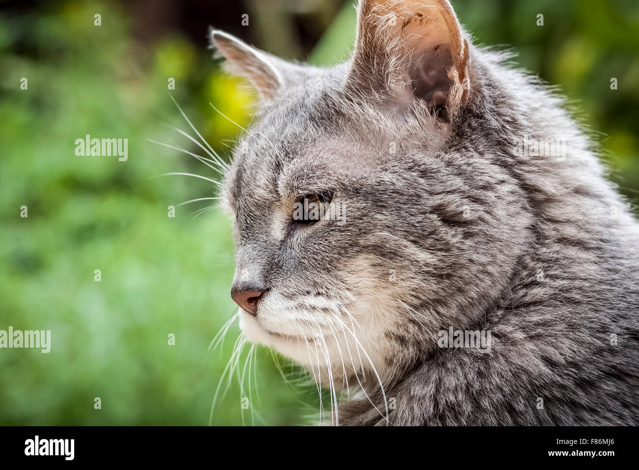 Facing sideways hi-res stock photography and images - Alamy
