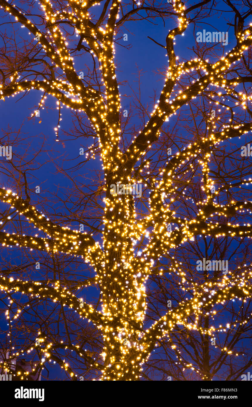 Tree decorated night christmas light hi-res stock photography and ...