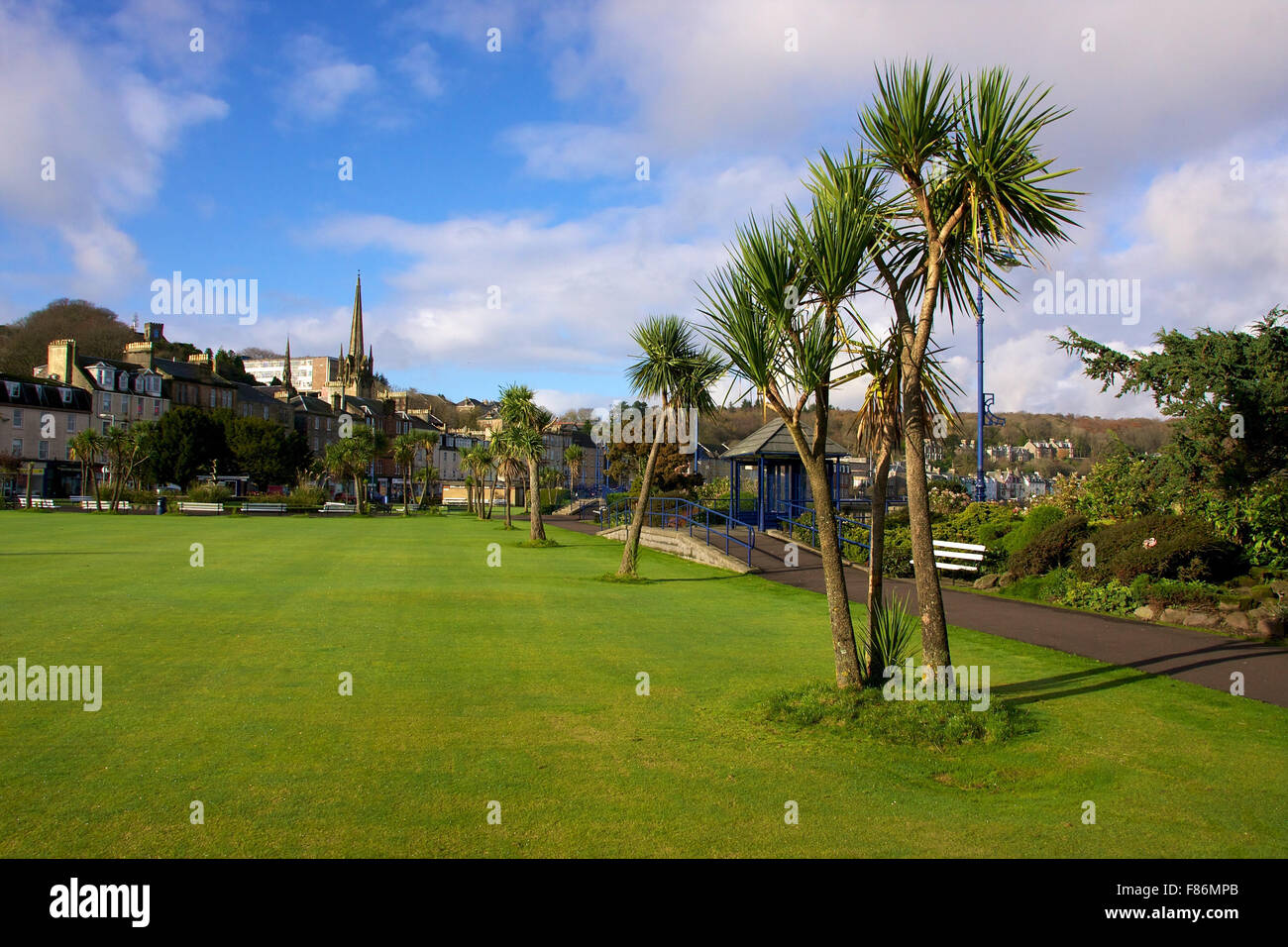 Palm Tree Scotland High Resolution Stock Photography and Images - Alamy