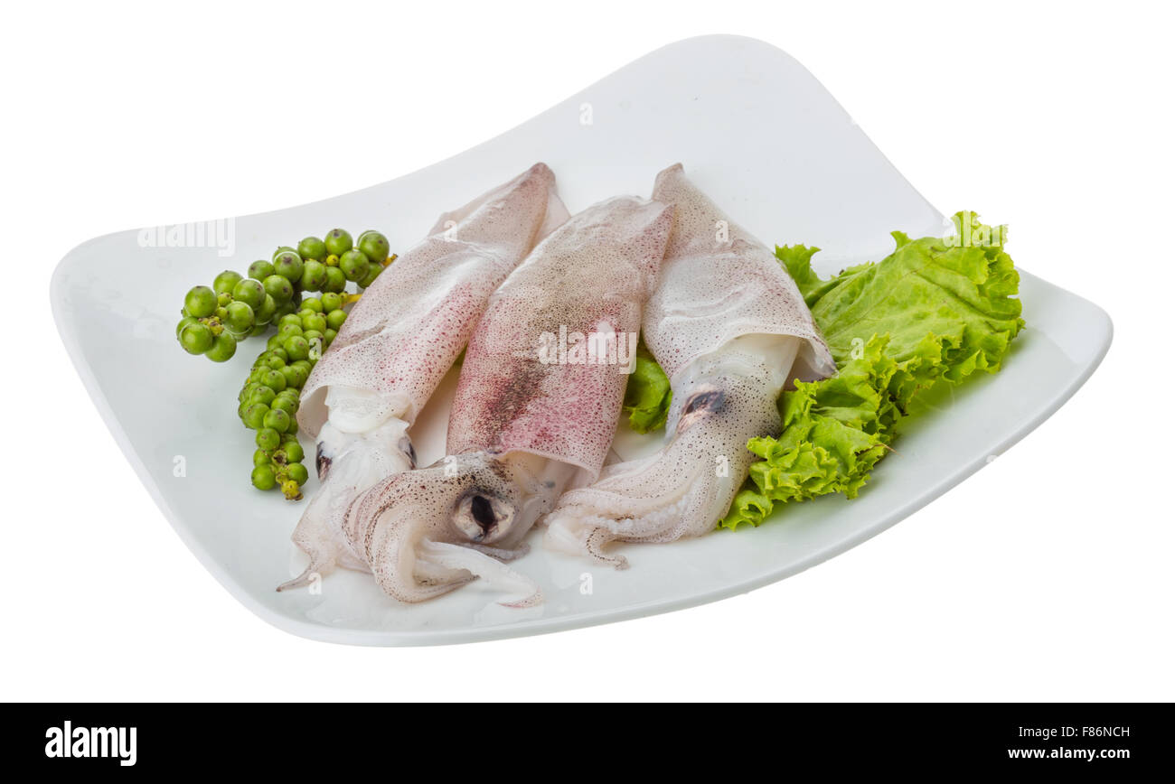 Raw calamari isolated on white background Stock Photo - Alamy
