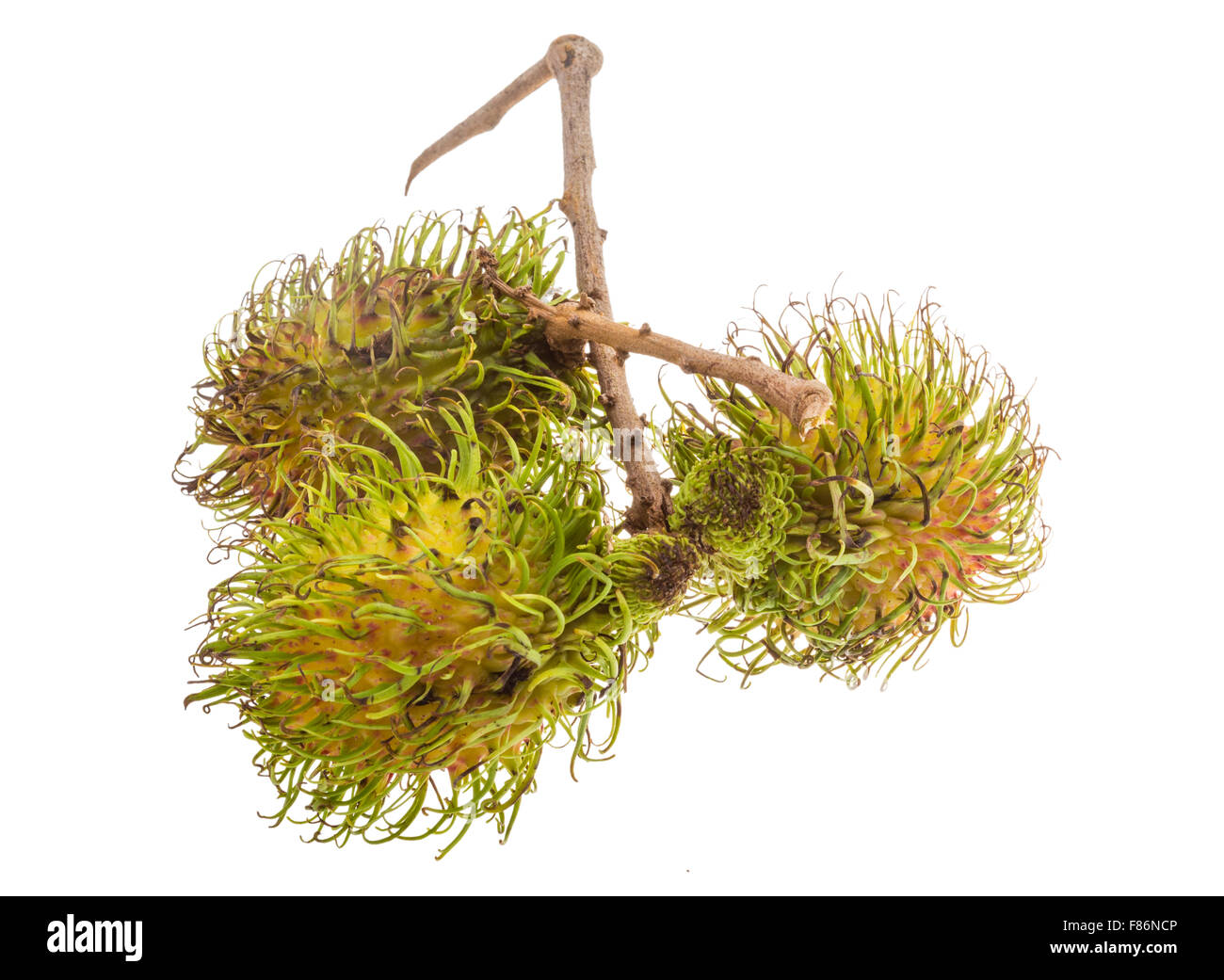 Bright ripe juicy rambutan isolated Stock Photo - Alamy
